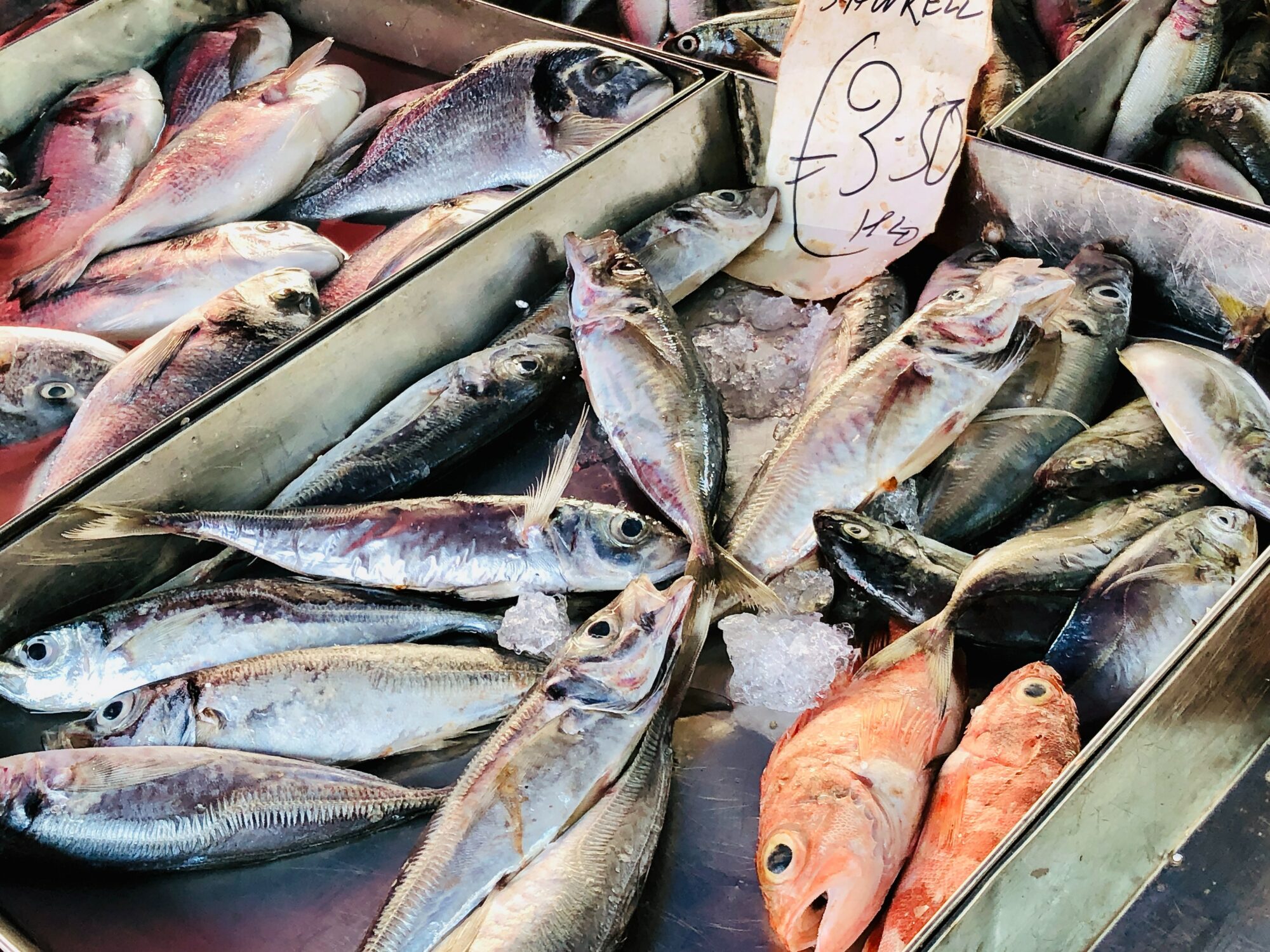 Exploring the Flavors of Malta: A Culinary Journey - Alexandra Hotel