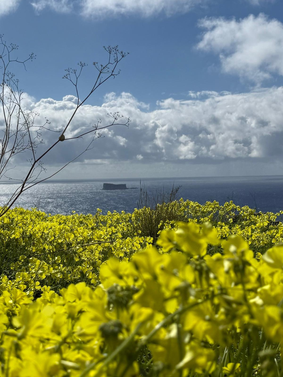 Spring into Sunshine: Why May is the Perfect Time to Visit Malta ...